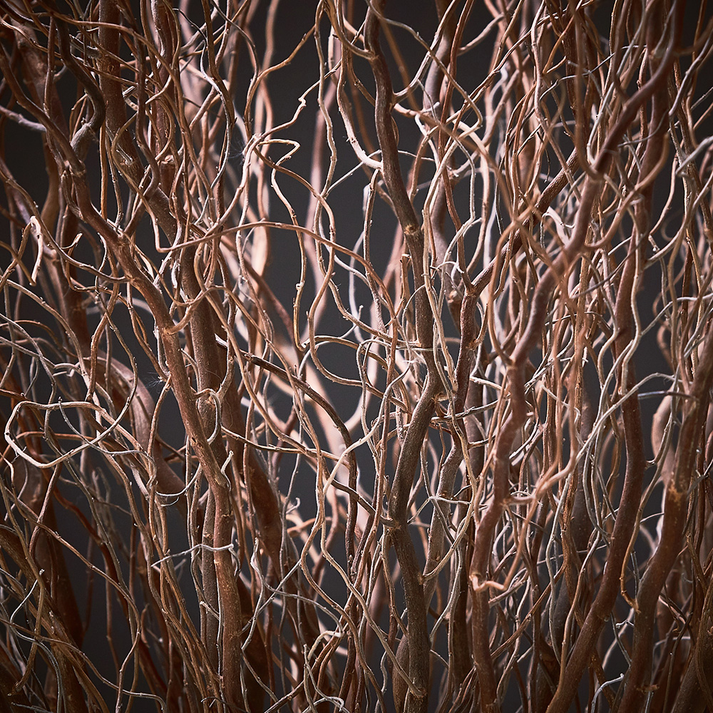 Cut Dried Curly Willow - Pines & Co - Real Christmas Trees - Delivered ...
