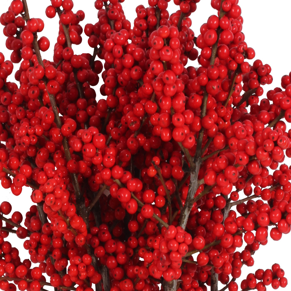 Freshly Cut Red Winterberry - Pines & Co - Real Christmas Trees ...