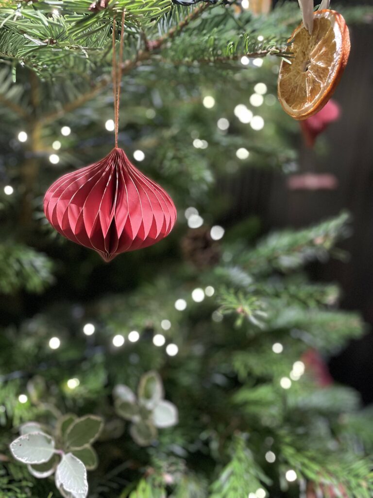 Supreme Christmas Tree Bundle - Pines & Co - Real Christmas Trees ...